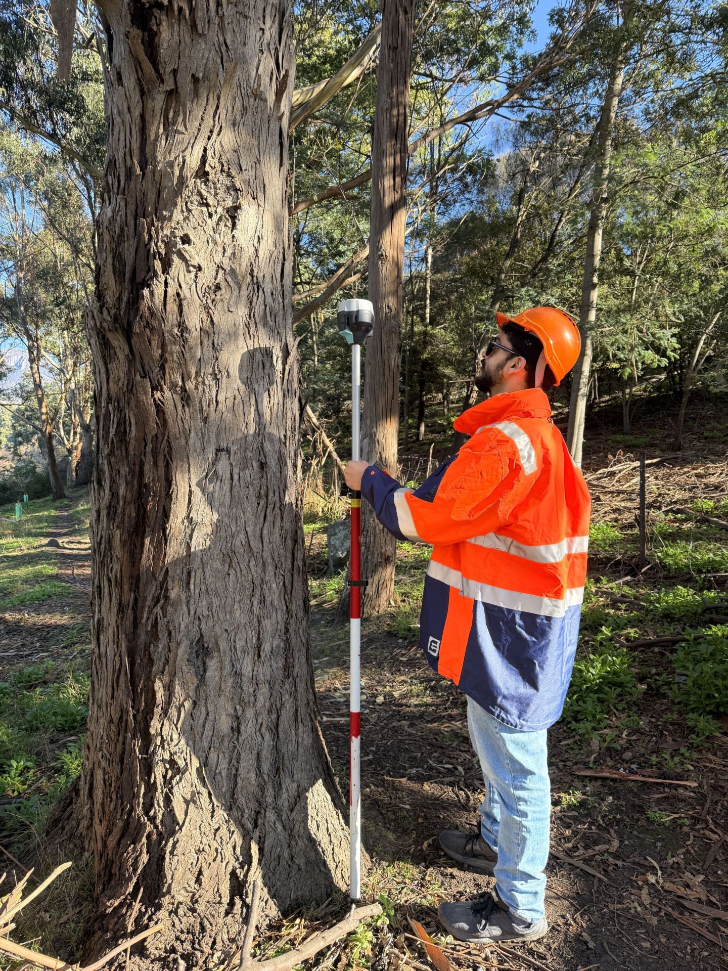 Precision tree surveys - North Barker Ecosystem Services