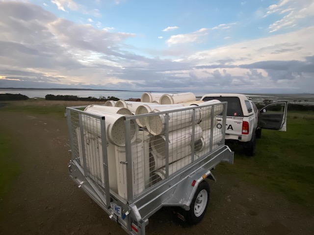 Devil and quoll trapping and tagging - North Barker Ecosystem Services